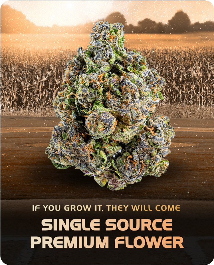 Sluggers: Premium Cannabis Products & Accessories