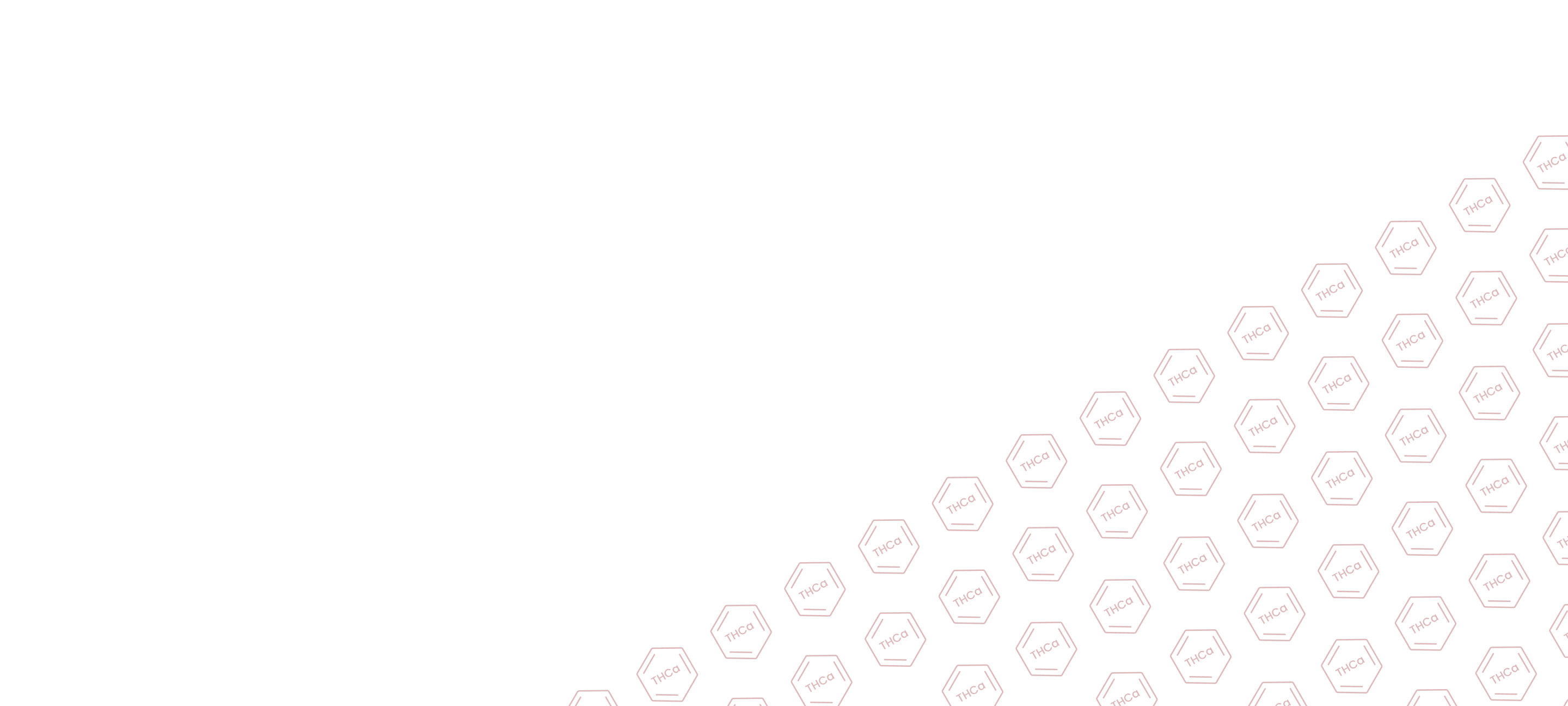 Sluggers Hit Official: Premium Cannabis Products and Accessories