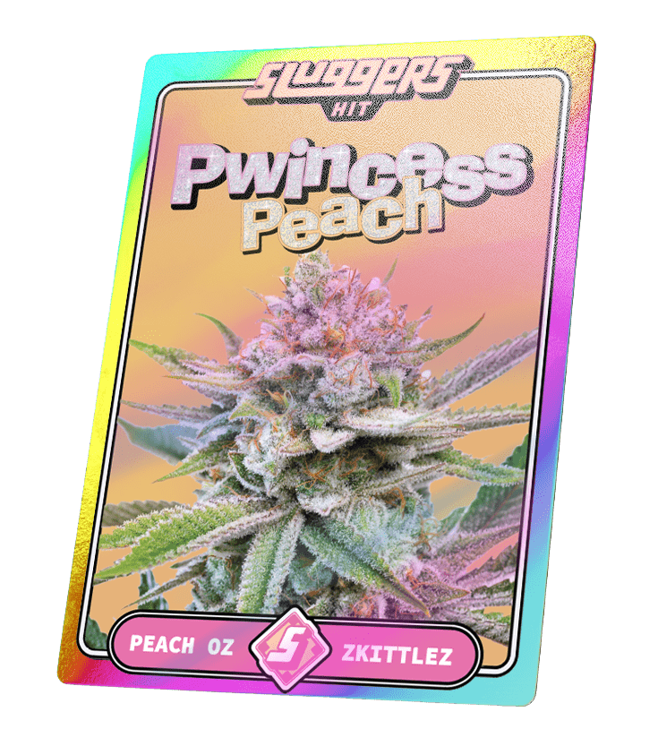 Pwincess Peach Pre-Rolls – Sweet, Euphoric & Creative – Sluggers